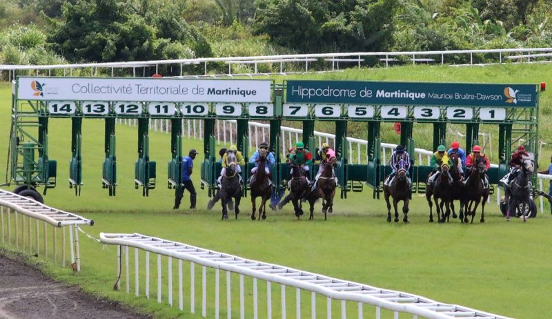 50 Years of Racing in the Caribbean